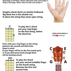 Ukulele Chords E-book: Beginner A4 Printable (digital Download) - Etsy