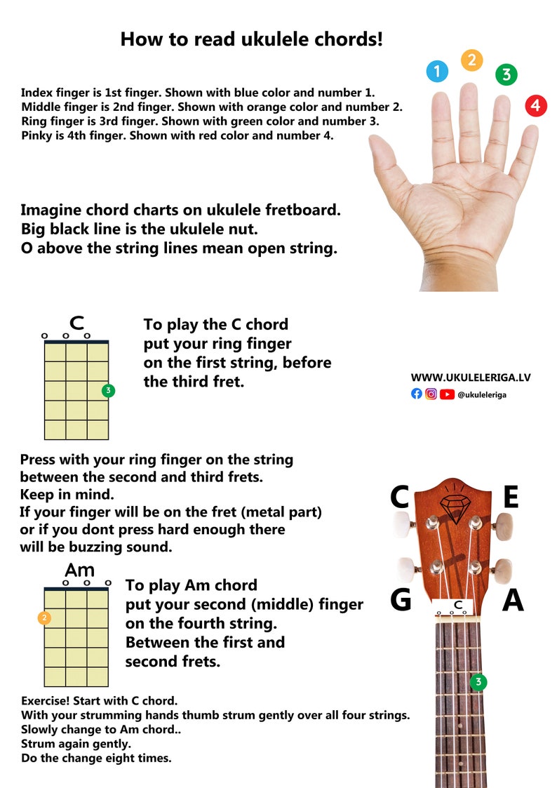 Ukulele Chords E-book: Beginner A4 Printable (digital Download) - Etsy