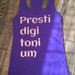 Prestidigitonium * Merlin Spells * Sword in the Stone Inspired Tank or ...