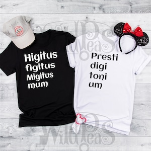 Higitusfigitus Migitusmum * Merlin Spells * Sword in the Stone Inspired ...