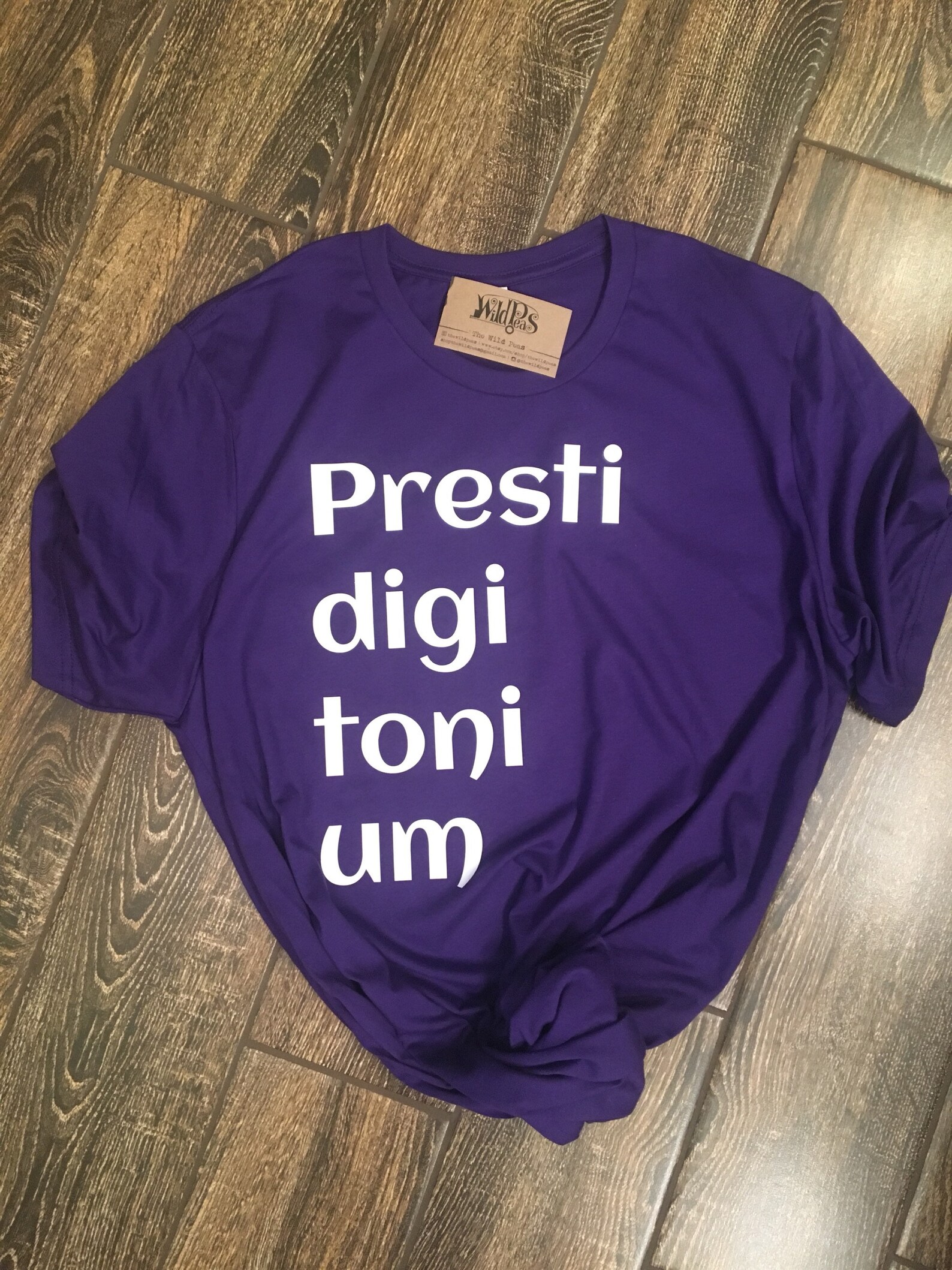 Prestidigitonium * Merlin Spells * Sword in the Stone Inspired Tank or ...