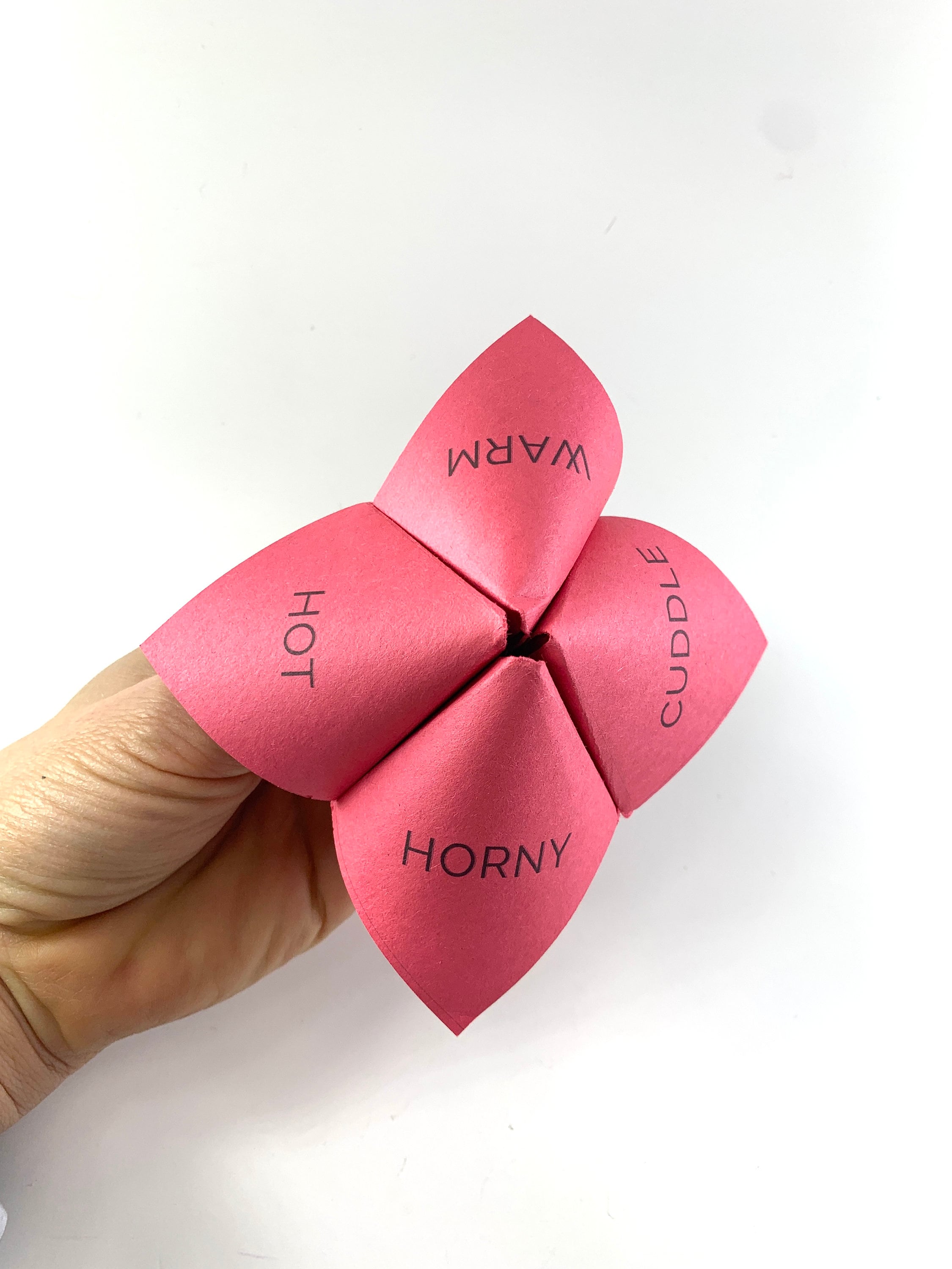 DIY Origami Valentine's Day Fortune Teller Spicy Video Folding Tutorial ...
