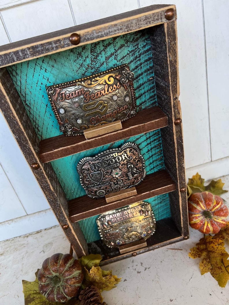Vertical 3 Count Belt Buckle Display, Case. Light TURQUOISE - Etsy