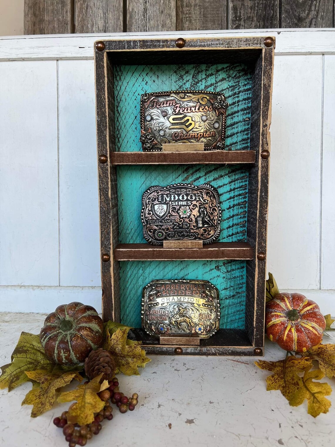 Vertical 3 Count Belt Buckle Display, Case. Light TURQUOISE - Etsy