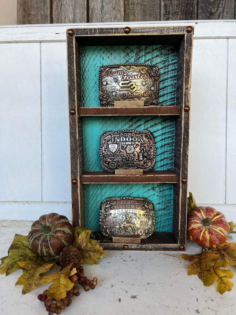 Vertical 3 Count Belt Buckle Display, Case. Light TURQUOISE - Etsy
