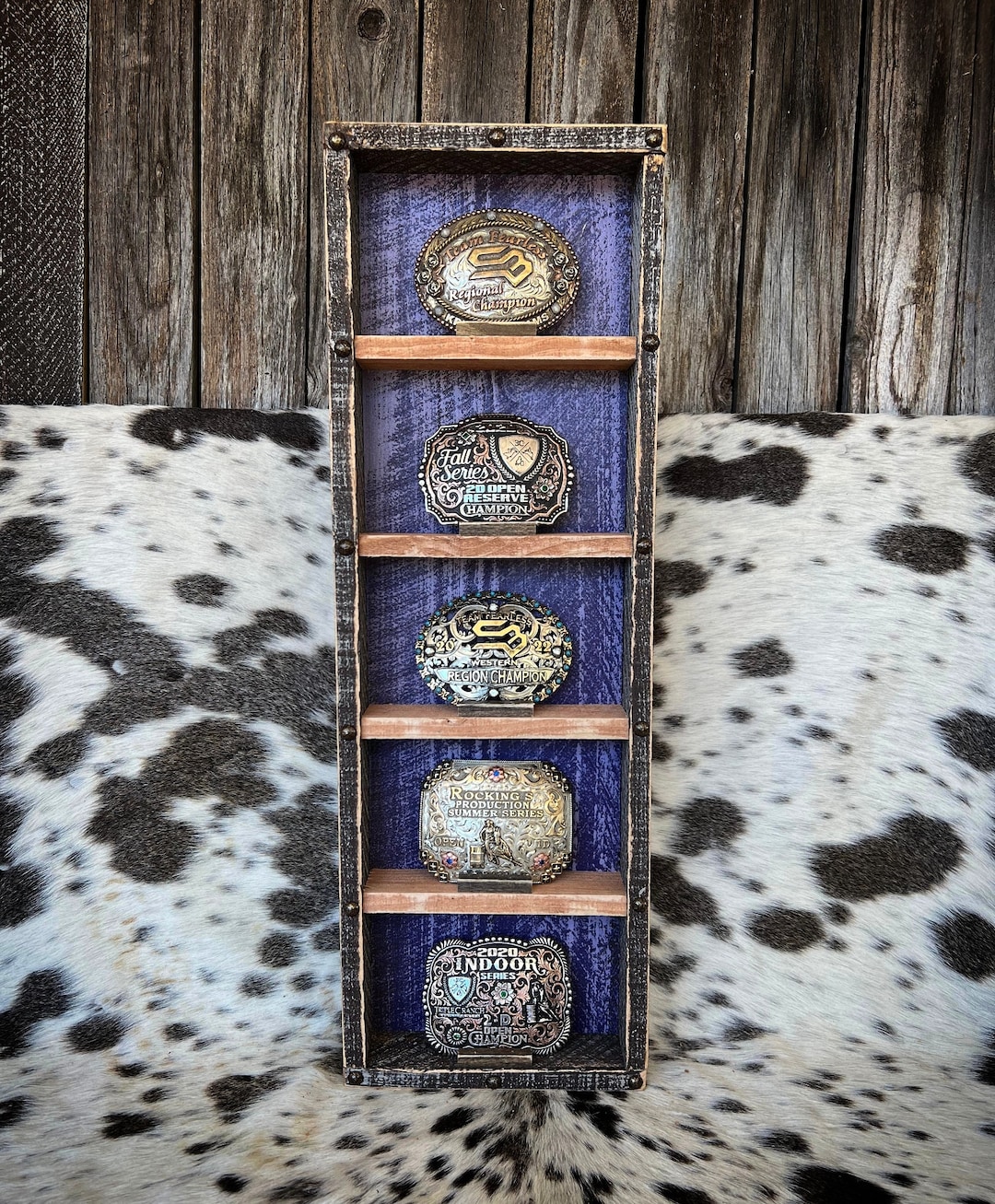 Vertical 5 COUNT Belt Buckle Display, Case. PURPLE - Etsy