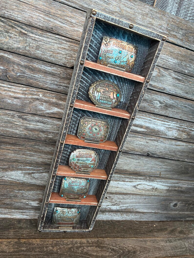 Vertical 6 Count Belt Buckle Display, Case, Box. Barnwood Brown - Etsy