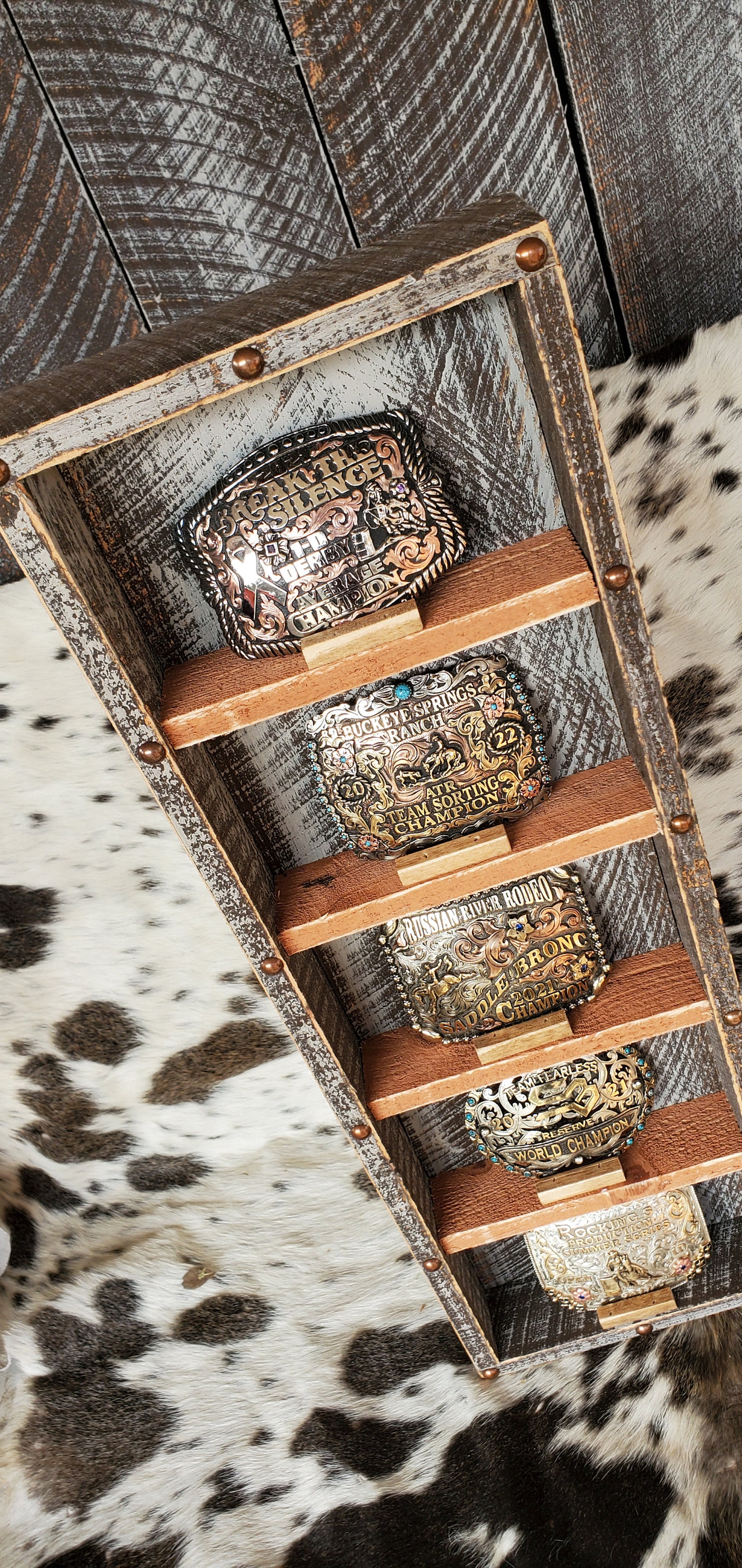Vertical 5 COUNT Belt Buckle Display, Case. BARNWOOD BROWN - Etsy