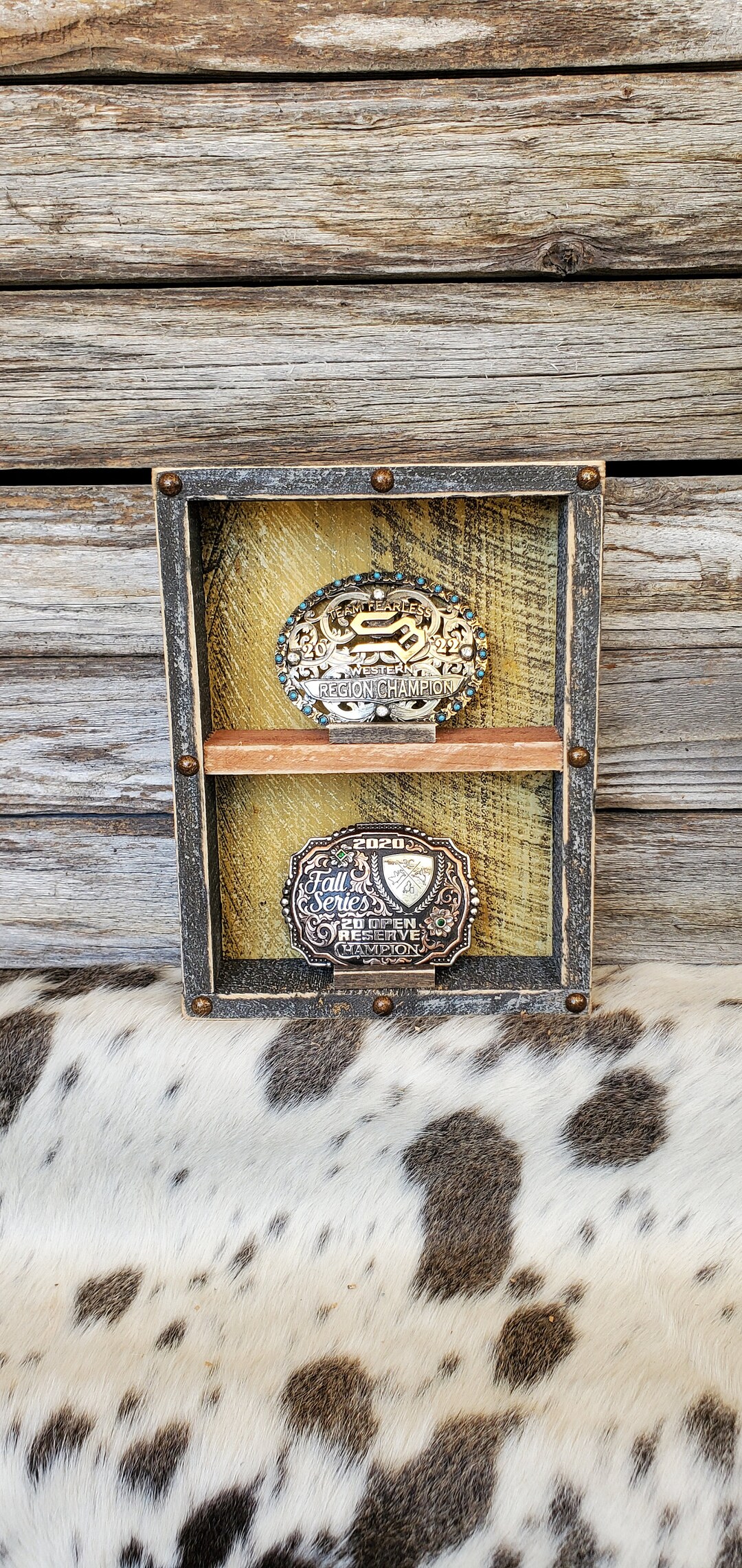 Vertical 2 Count Belt Buckle Display, Case. MUSTARD - Etsy