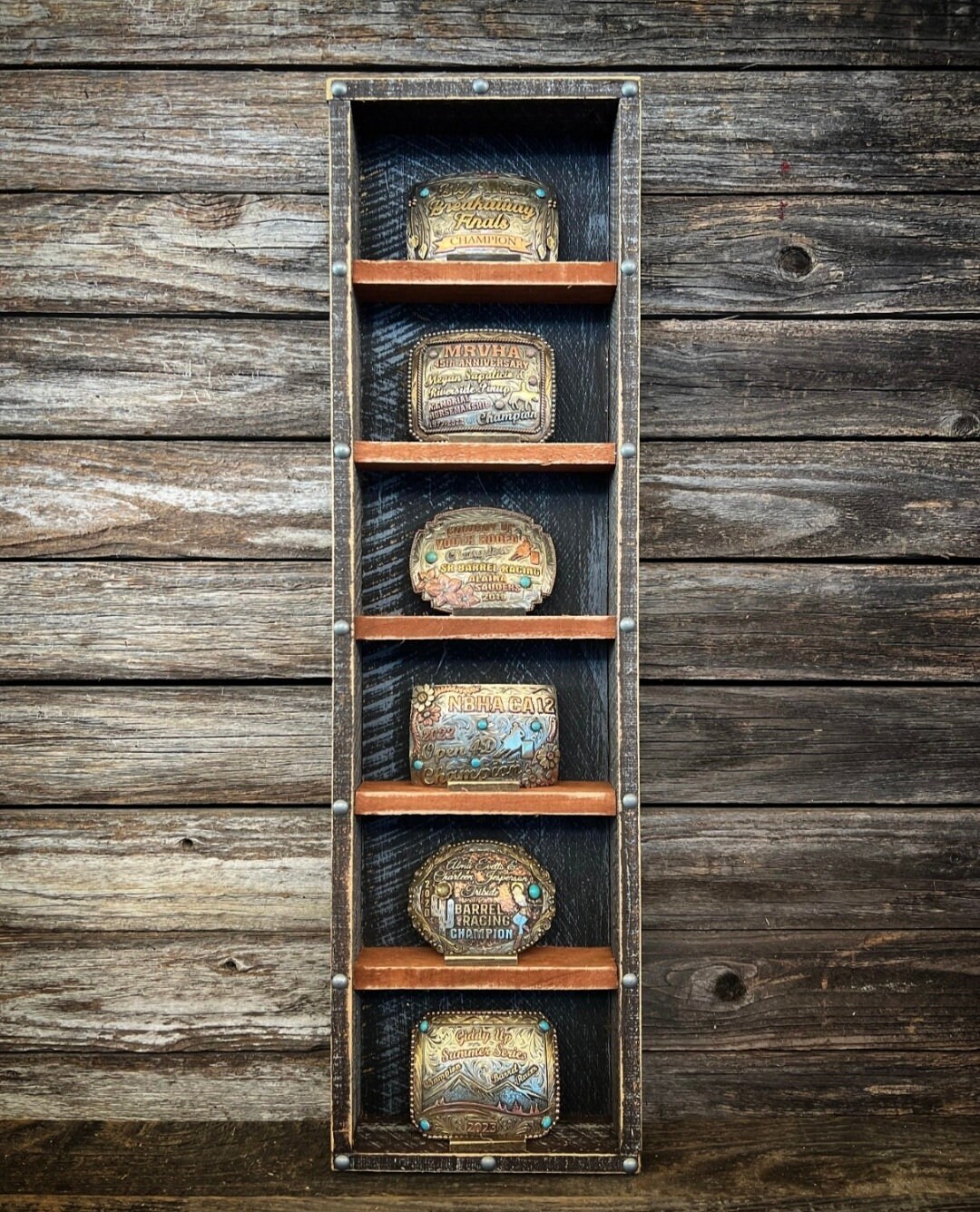 Vertical 6 Count Belt Buckle Display, Case, Box. Antique Black - Etsy