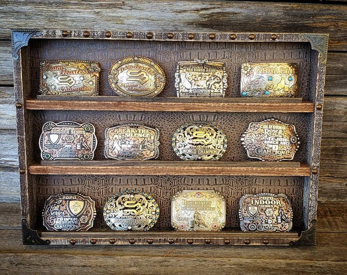 12 Count Belt Buckle Display Gator Dark Antique ASH BROWN - Etsy