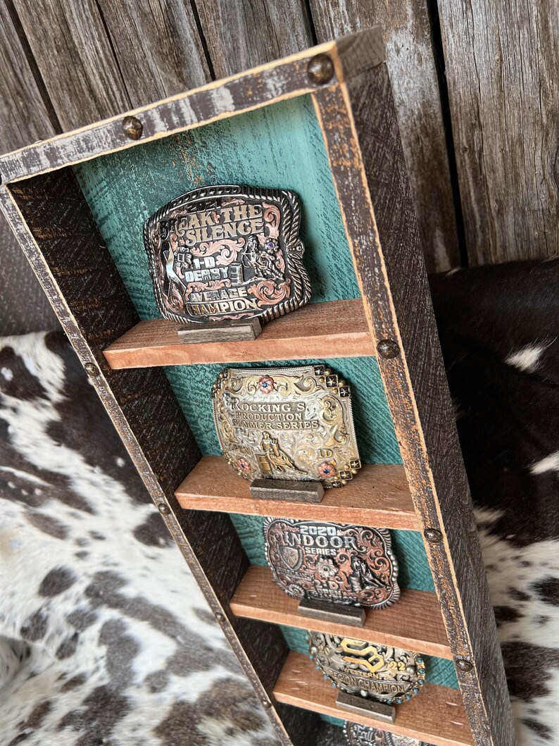 Vertical 5 COUNT Belt Buckle Display, Case. SAGE Green - Etsy
