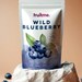 Wild Blueberry Powder 100g | Raw Certified Organic Freeze-dried ...