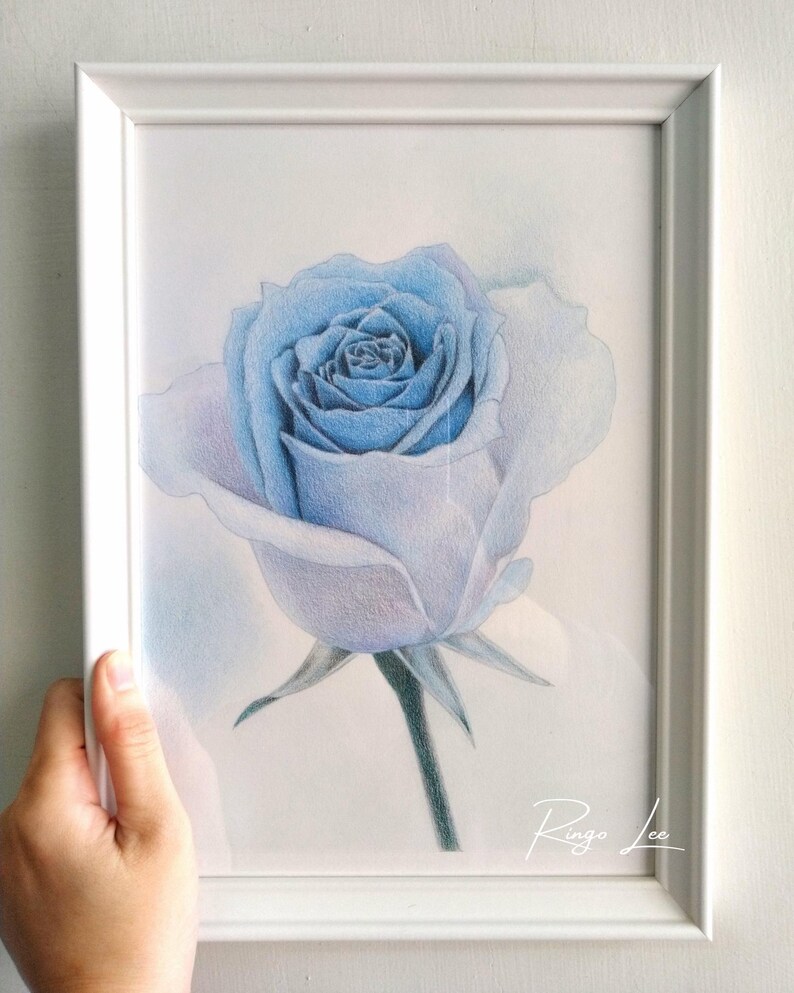 Blue Rose Colored Pencil Drawing Original Painting - Etsy