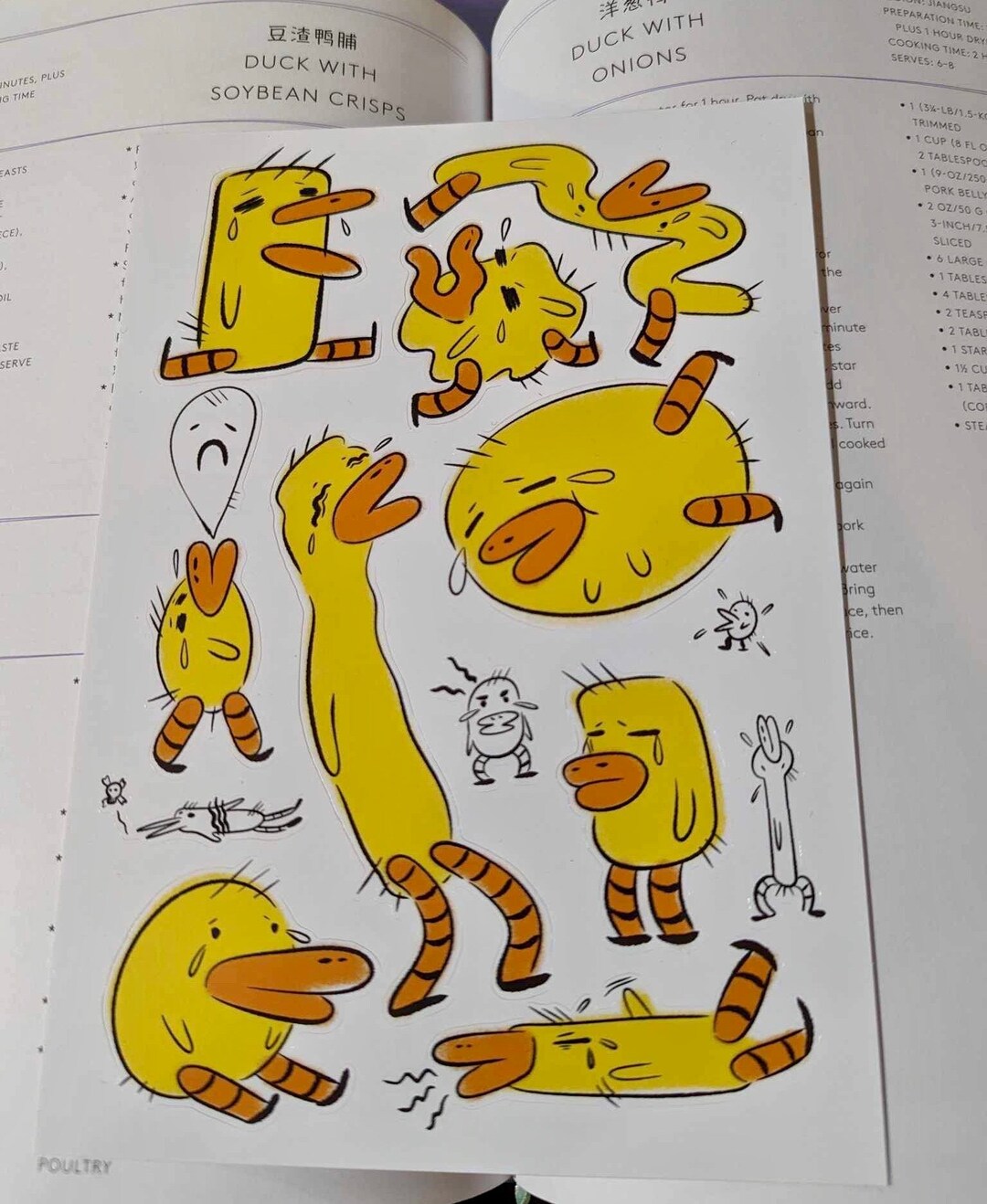 Bad Luck Duck Vinyl Scratchproof/weatherproof Sticker Sheet - Etsy