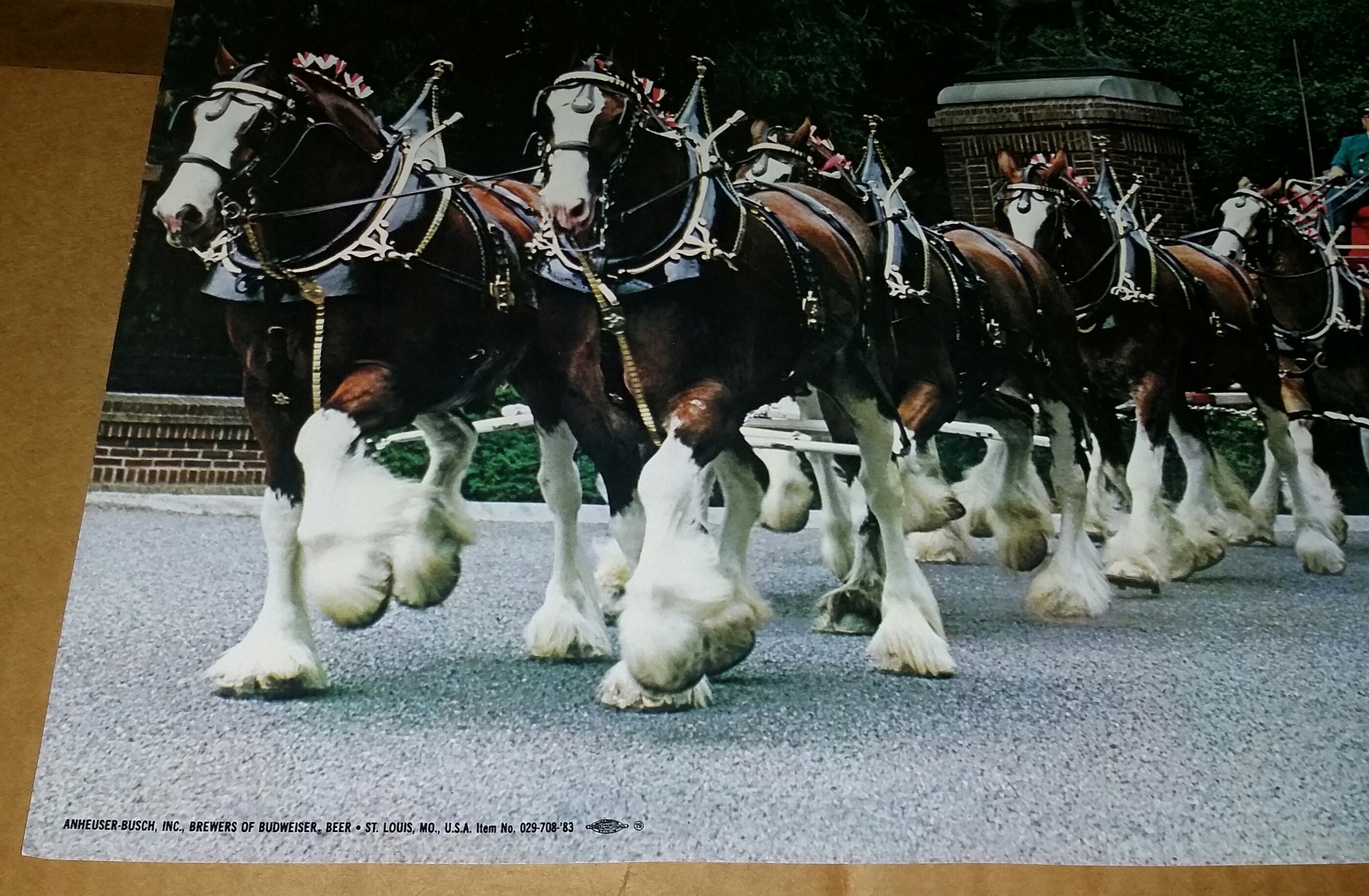 Vintage 1983 Anheuser Busch Clydesdale Team Poster | Etsy