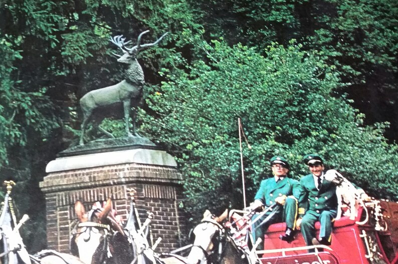 Vintage 1983 Anheuser Busch Clydesdale Team Poster - Etsy