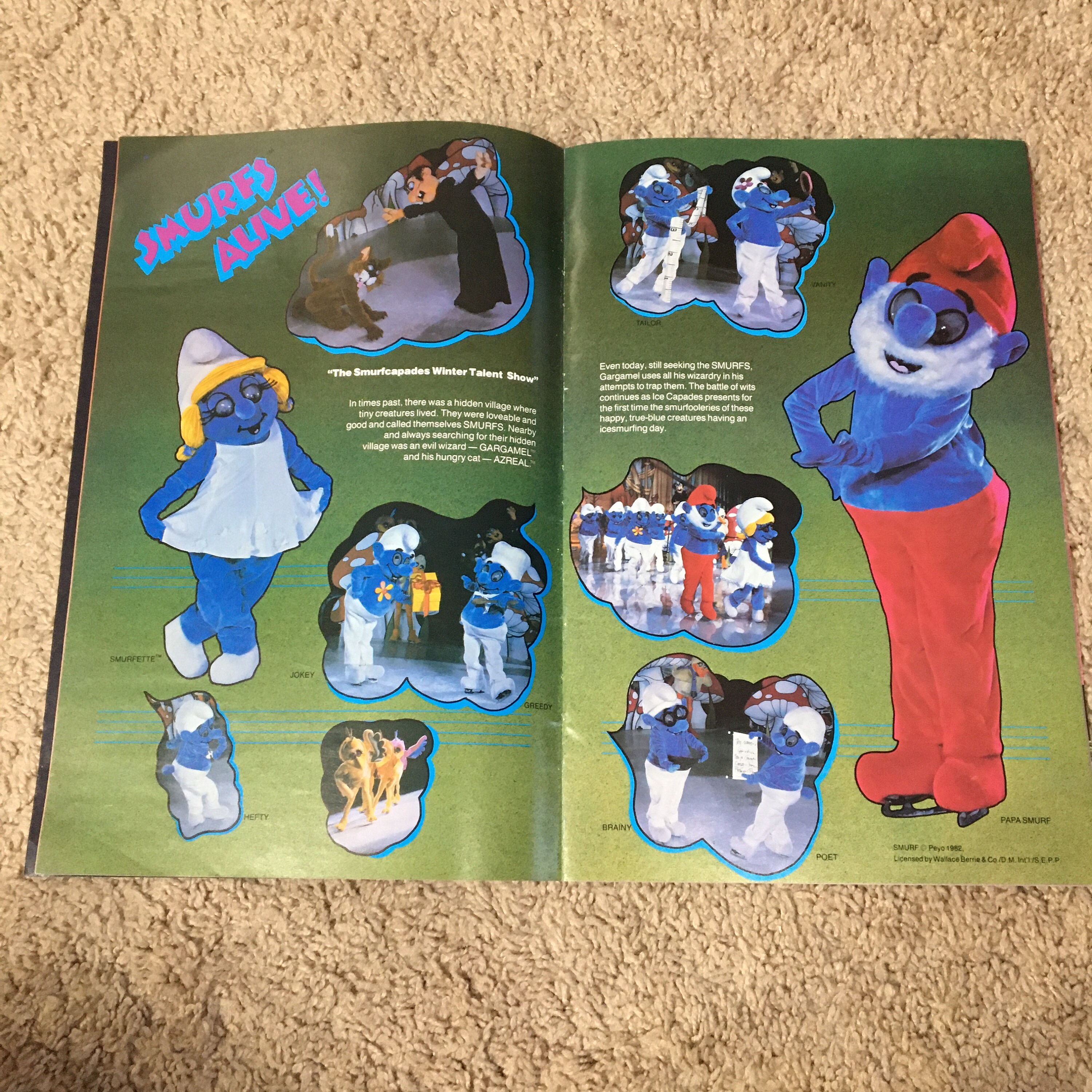 Vintage Lot of the Smurfs Ice Capades Memorabilia - Pennent, Pin ...