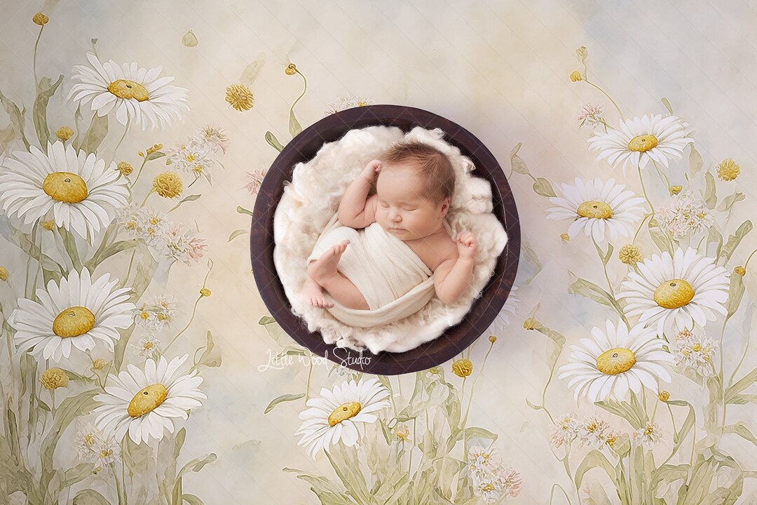 Newborn Digital Background, Daisies Newborn Digital Backdrop Set of 2 ...