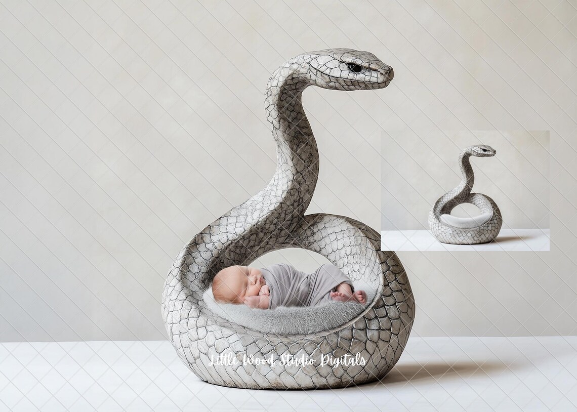 Year of the Snake 2025 Newborn Digital Background - Enigmatic, Wise and ...