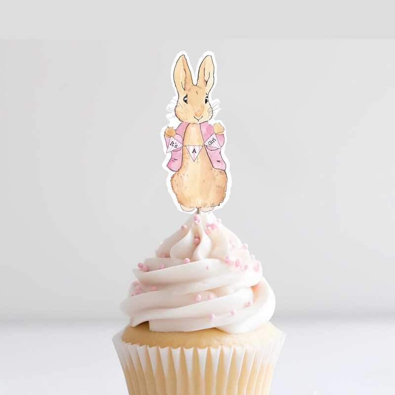 Peter Rabbit Cupcake Topper - Etsy