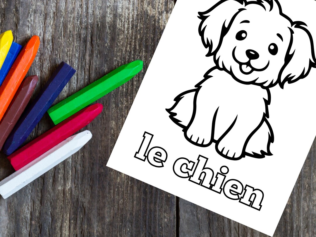 French Animal Vocabulary Coloring Pages (digital Download) - Etsy