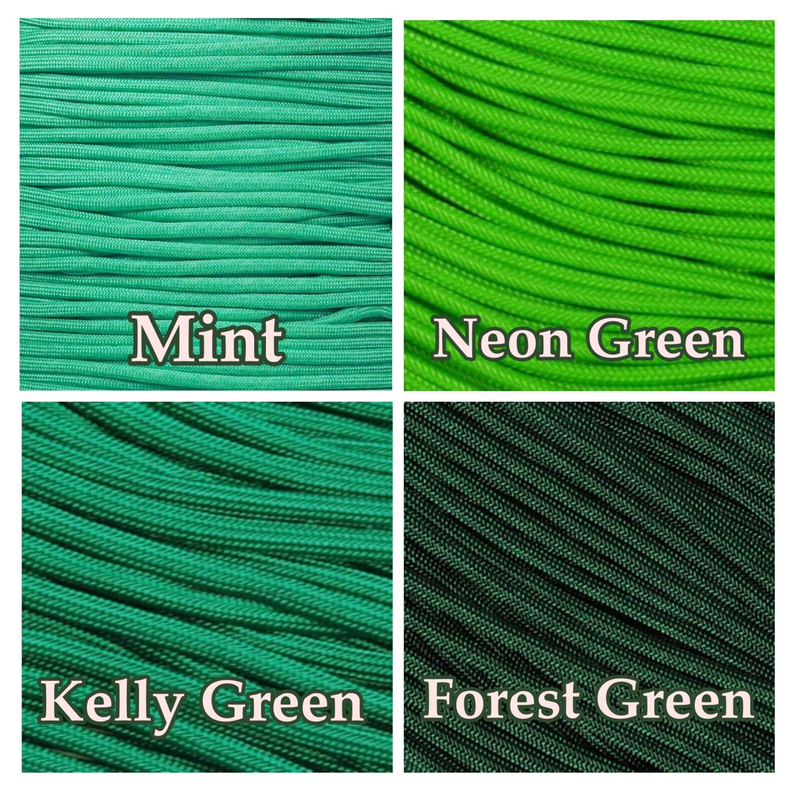 Any Color Collar for Standard Size Dogs - Etsy