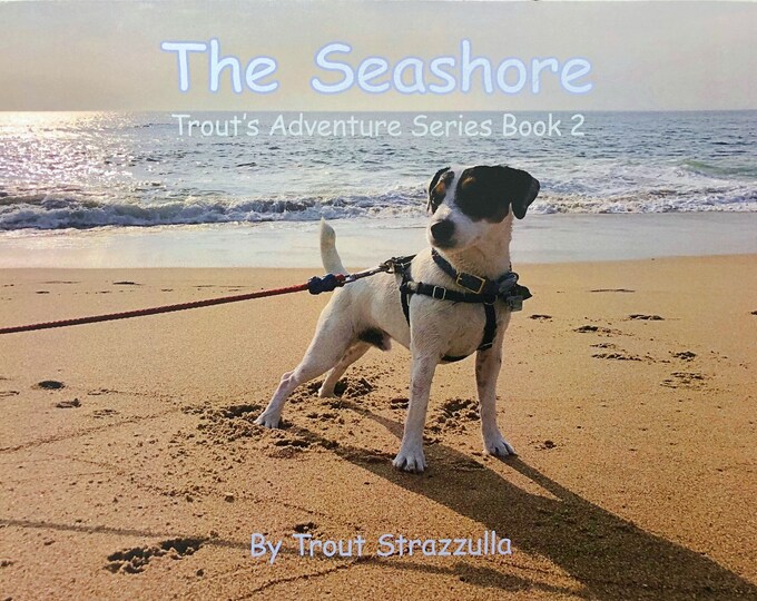 Children's Book the Seashore Book 2 in Trout's Adventure Series - Etsy