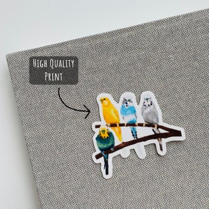 Budgie Sticker, Bird Sticker, Vinyl Decal A Gorgeous Sticker Perfect ...