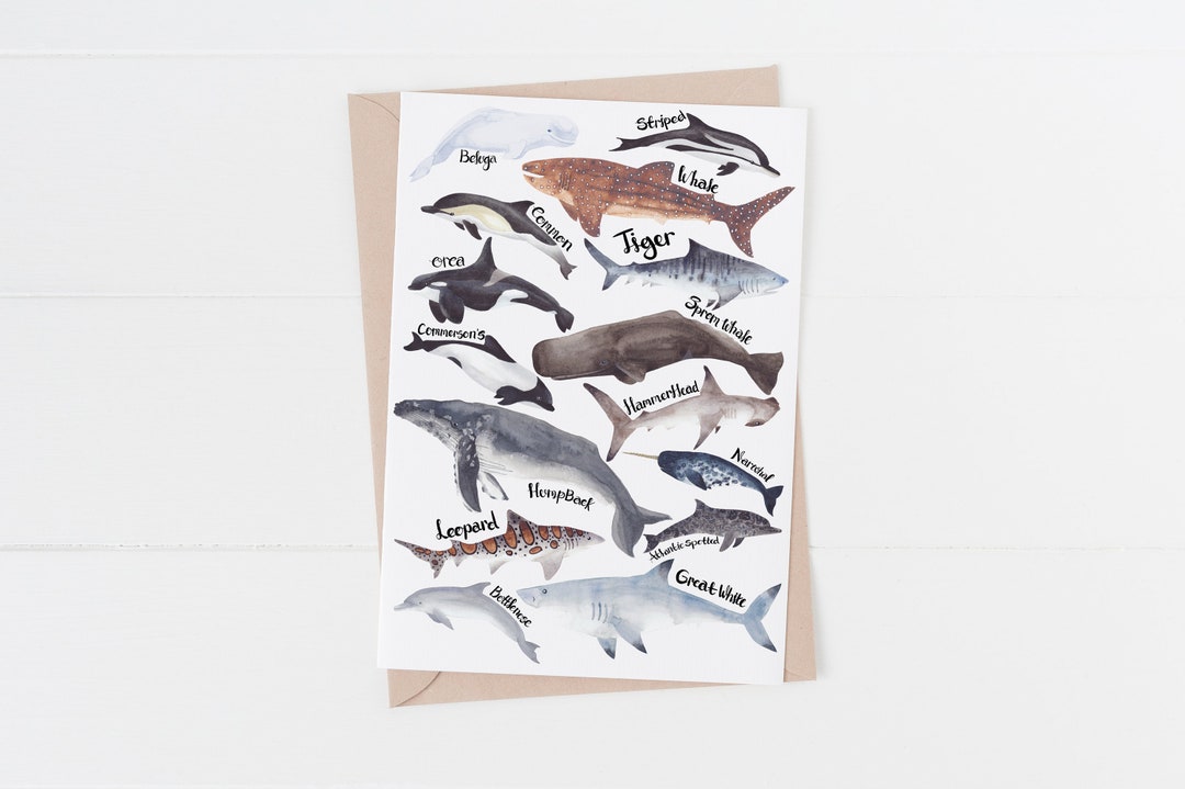Sea-life Types Greetings Card, Birthday Sea Card, Watercolour Sea-life ...
