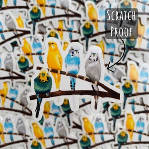 Budgie Sticker, Bird Sticker, Vinyl Decal A Gorgeous Sticker Perfect ...