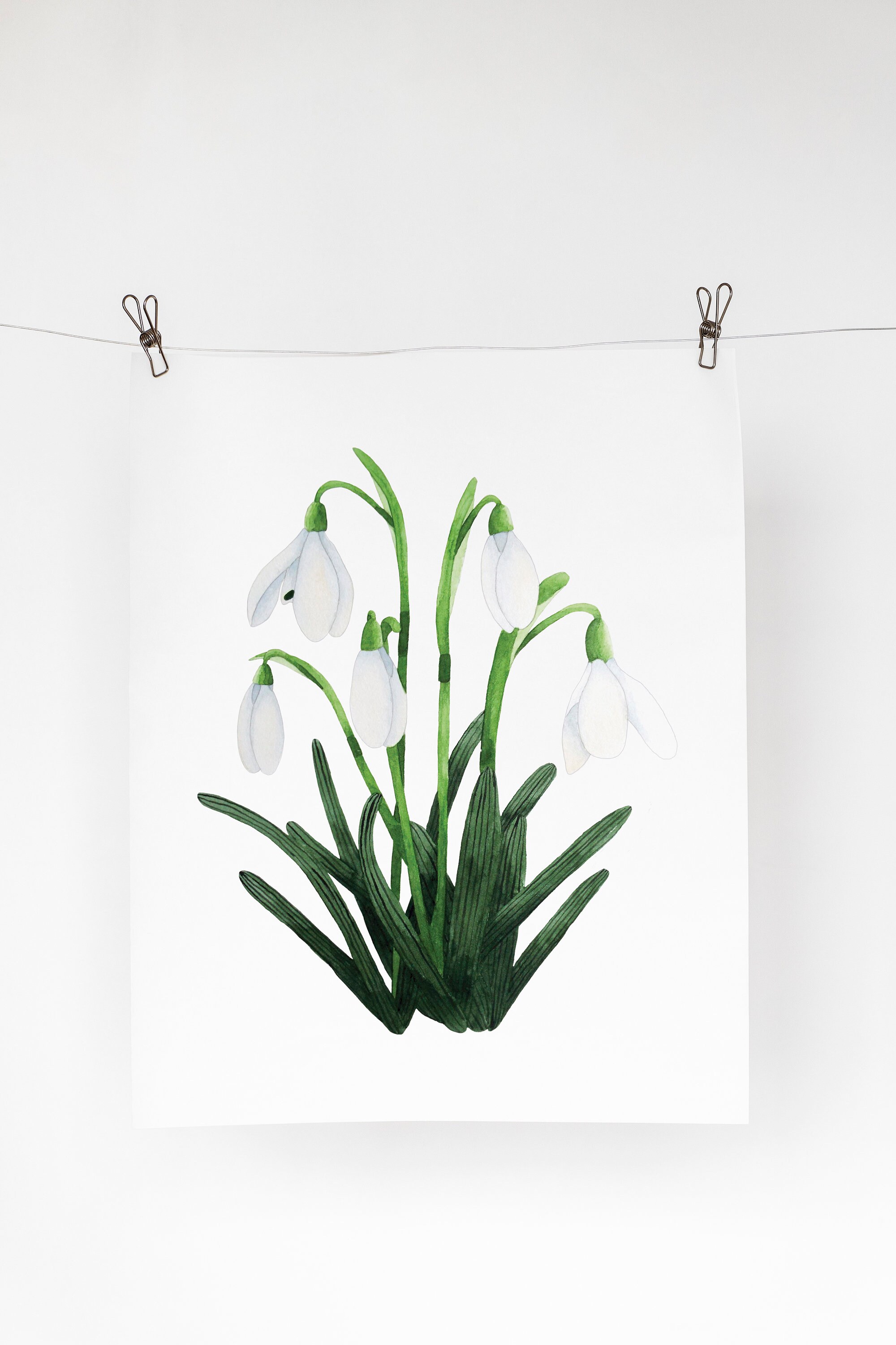 Snowdrops Art Print Flower Print Floral Wall Art Beautiful - Etsy UK