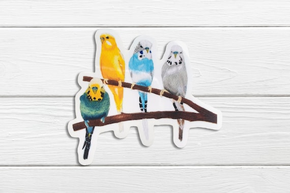 Budgie Sticker Bird Sticker Vinyl Decal A Gorgeous Sticker | Etsy