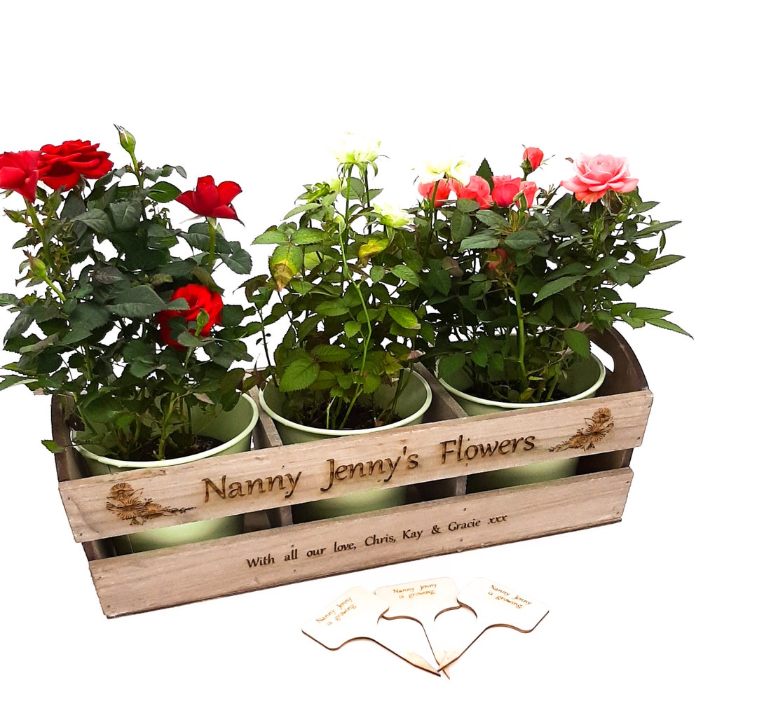 Rustic Planter & Pots Personalised With Any Name and Message. A Lovely ...