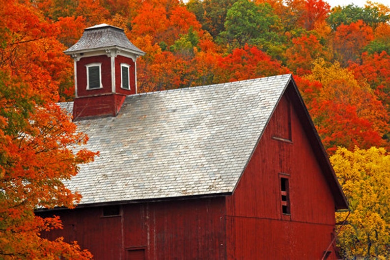 Fall Foliage, VT Scenic, Red Barn and Maple Trees, Rural VT, Autumn ...