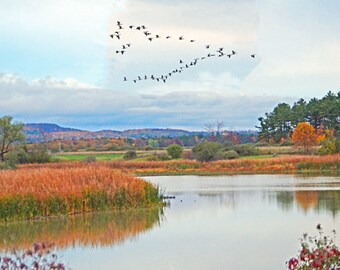 Fall Photography Autumn Photography Fall Leaves Autumn - Etsy