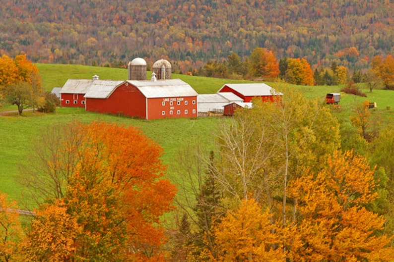 Vermont Scenic, Fall Foliage, VT Farm Scene, Fine Art Photo, Red Barns ...