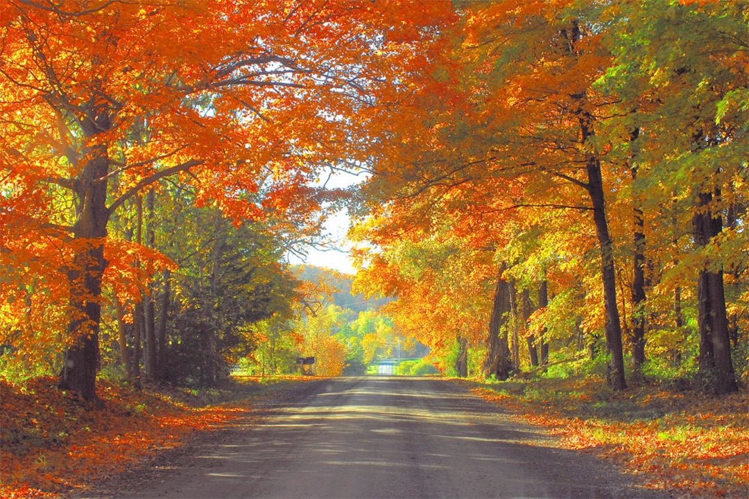 Fall Foliage and Dirt Road, Fall Scenic Photo, Rural Vermont Photo ...