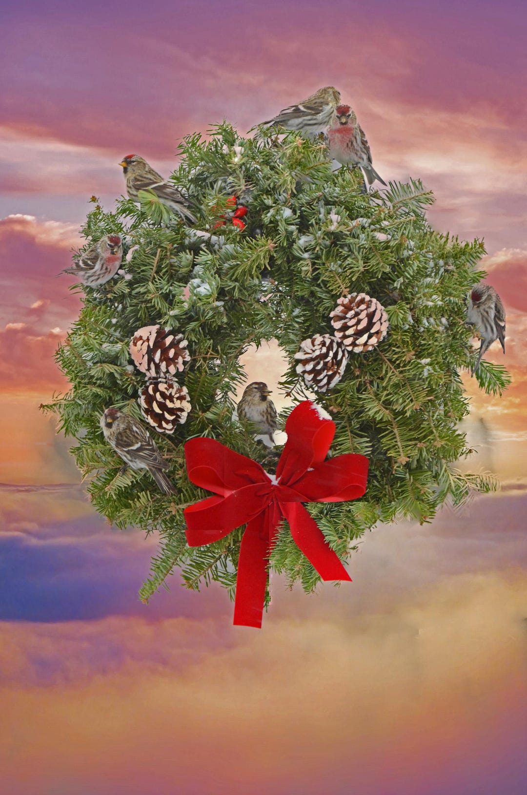 Christmas Wreath, Birds in Winter, Birds on Wreath, Redpoll Finches ...