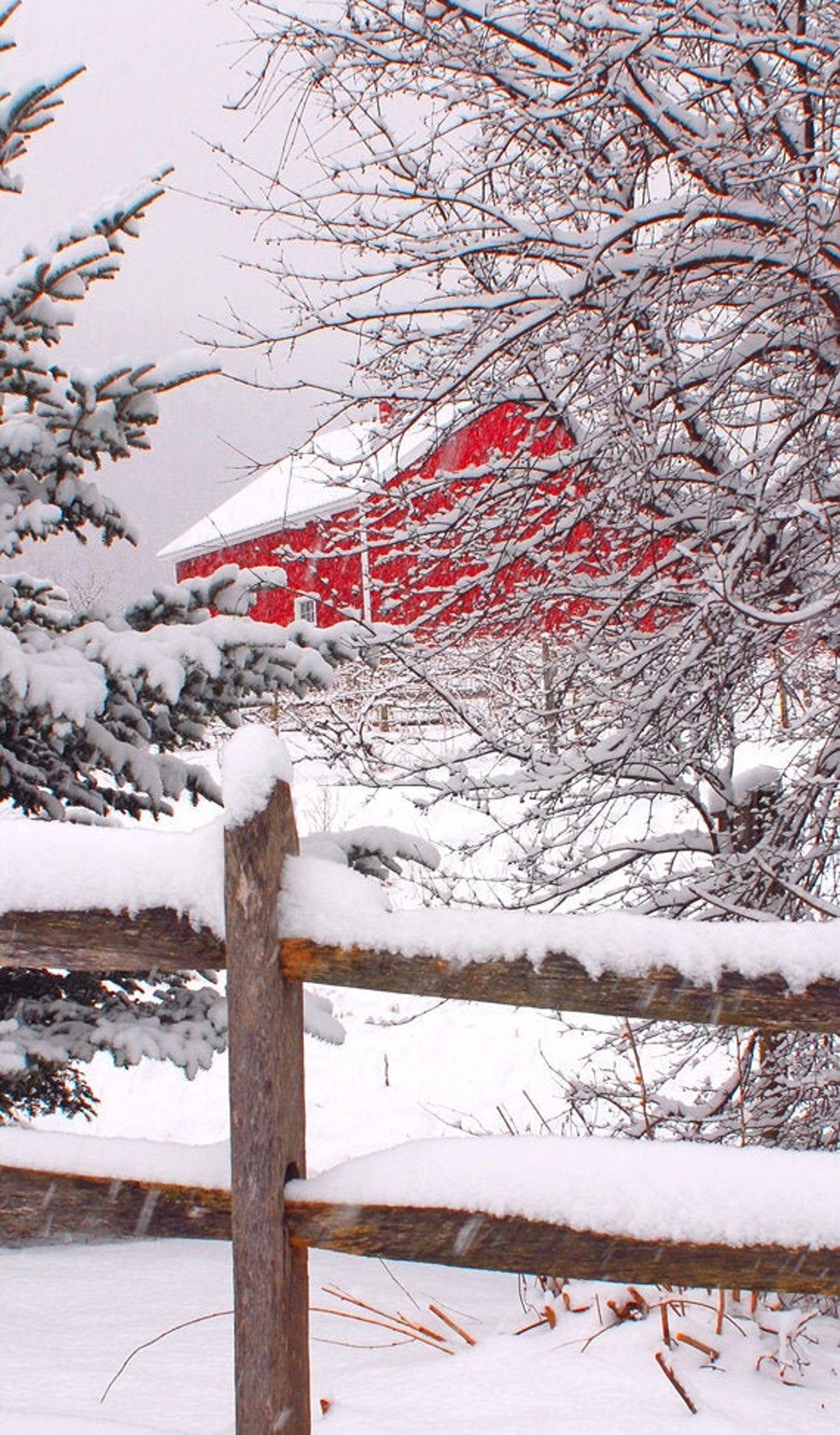 VT Winter Scenic, Red Barn and Split Rail Fence in Snow, Snow Storm's ...