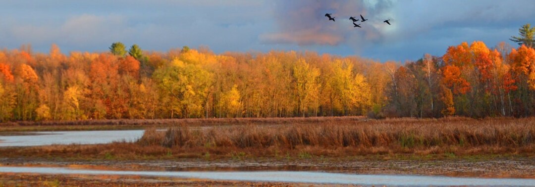 Vermont Autumn Panoramic Fall Foliage Autumn Marshland and - Etsy