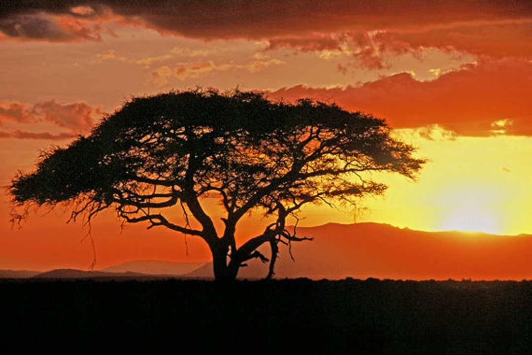 African Scenic Sunset Picture Amboseli Natiional Park - Etsy
