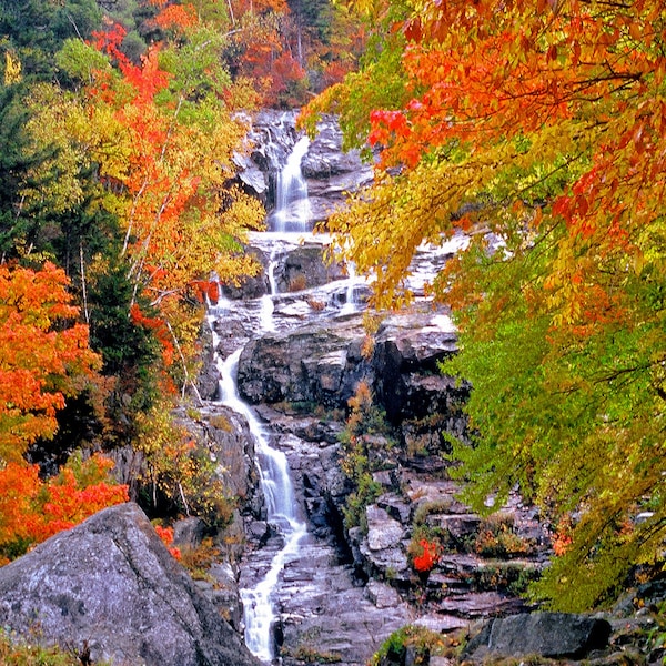 New England Fall - Etsy