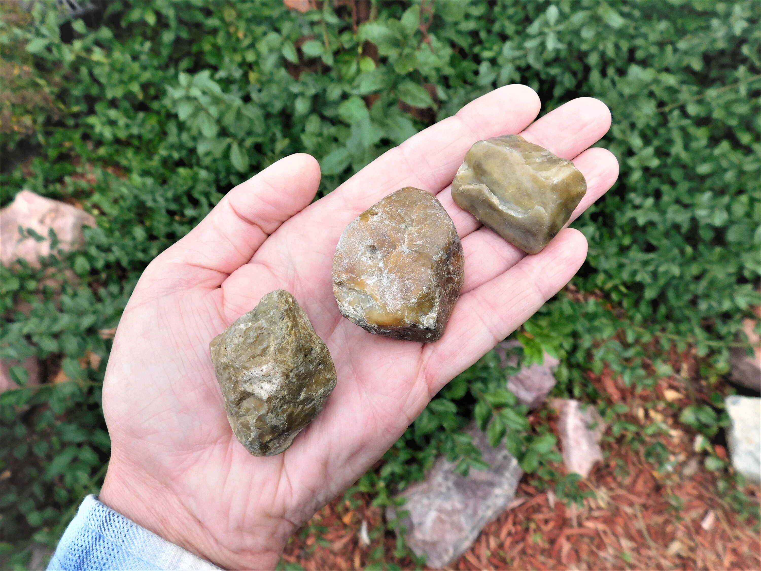 Three Natural Beautiful Large- XXLarge Raw Common Opal Rough Stones