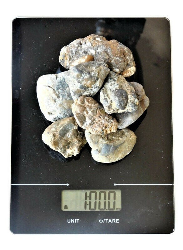 Stones By The Pound- One Pound- 16 oz. Large- XXLarge Brown- Gray ...