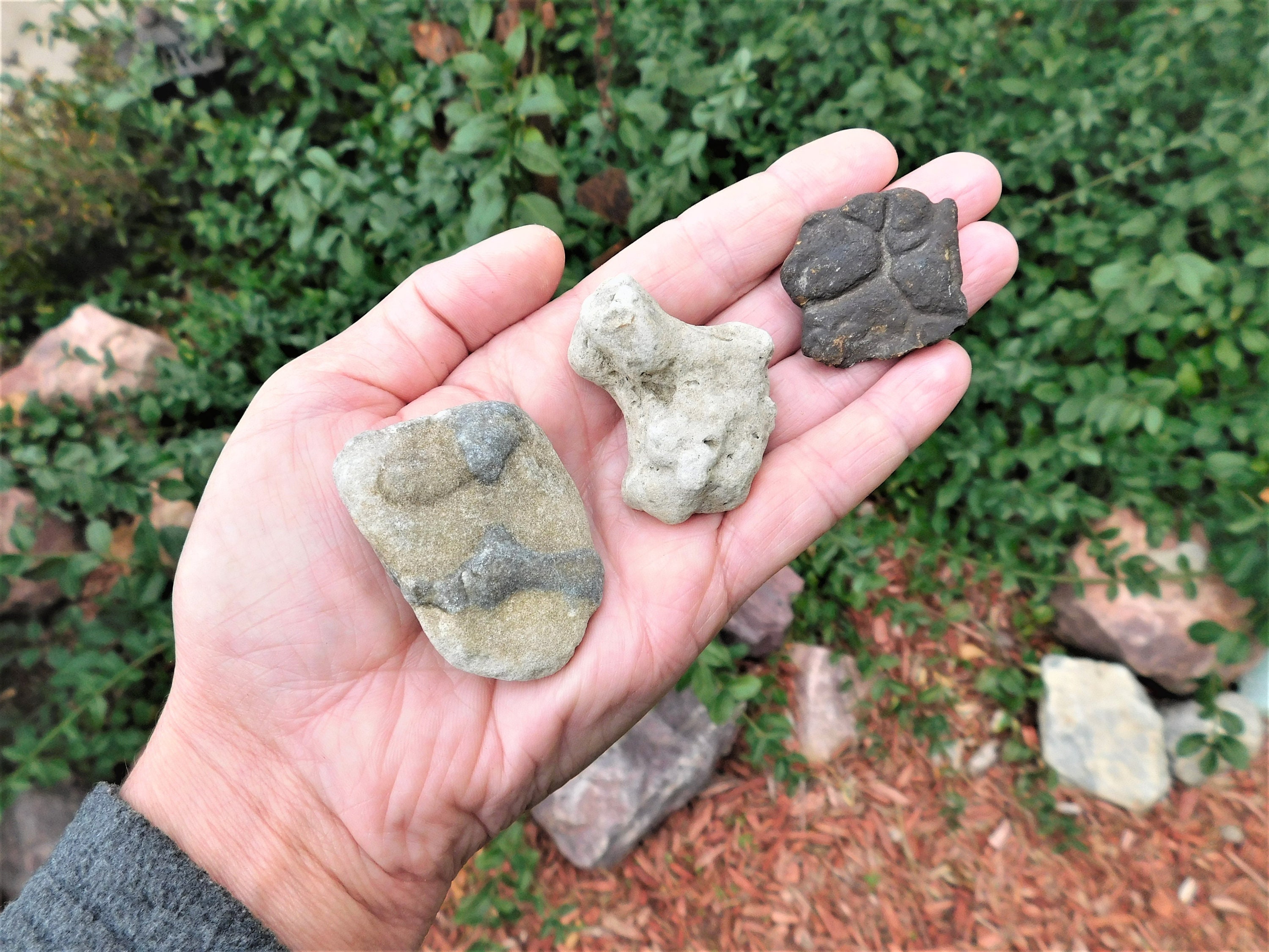 Three Natural Beautiful Large- XXLarge Raw Various Assorted Fairy Stone ...