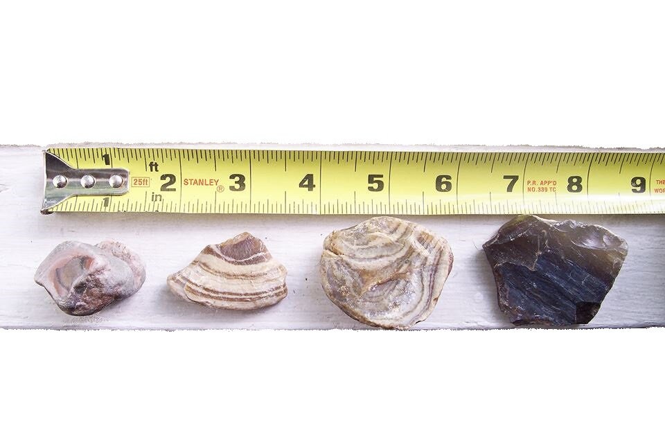 Stones By The Pound- One Pound- 16 oz. Large- XXLarge Raw Agate Rough ...