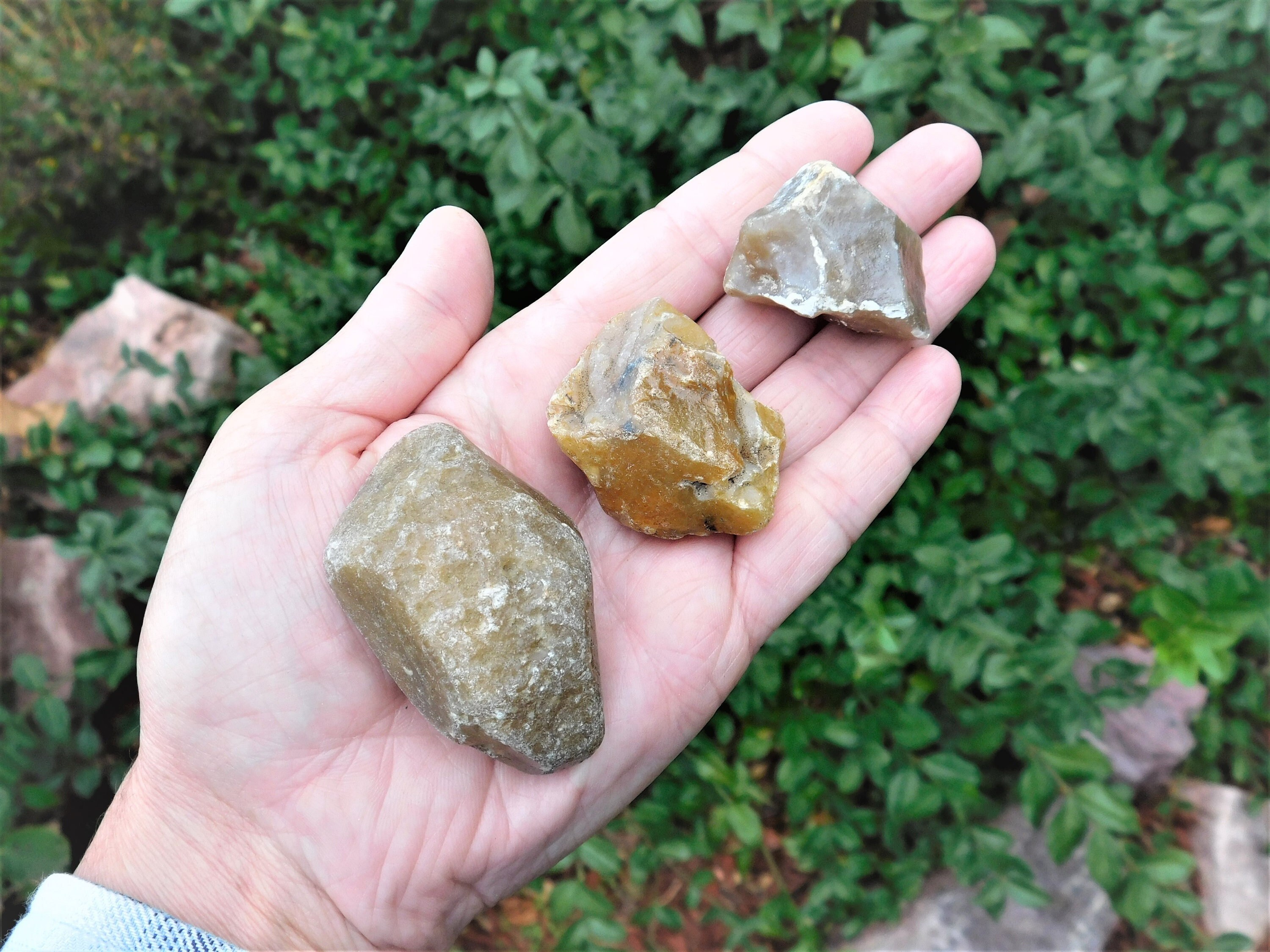 Three Natural Beautiful Large- XXLarge Raw Orange/ Red- Yellow/ Brown ...