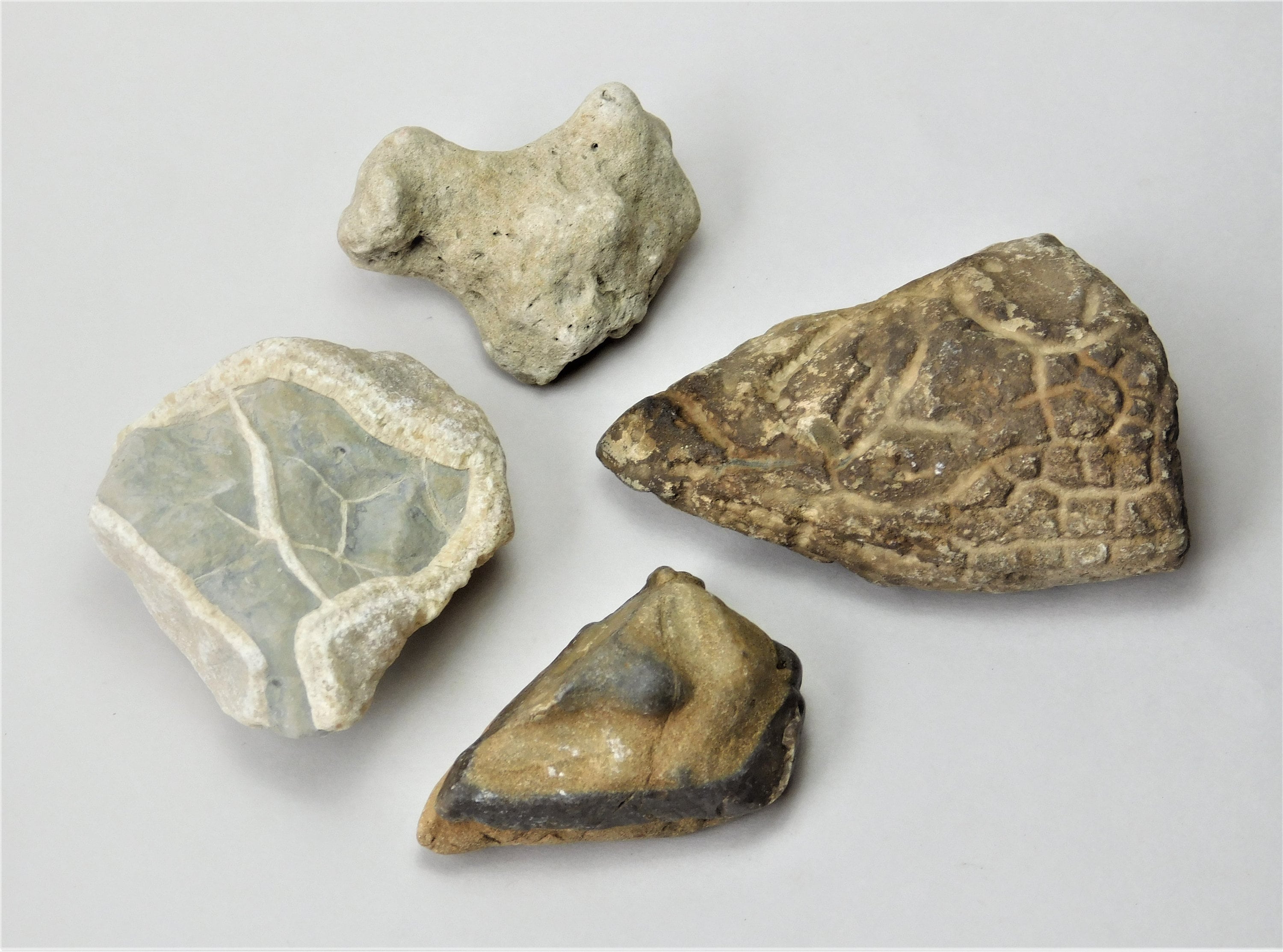 Stones By The Pound-One Pound- 16 oz. Large- XXLarge Various Assorted ...