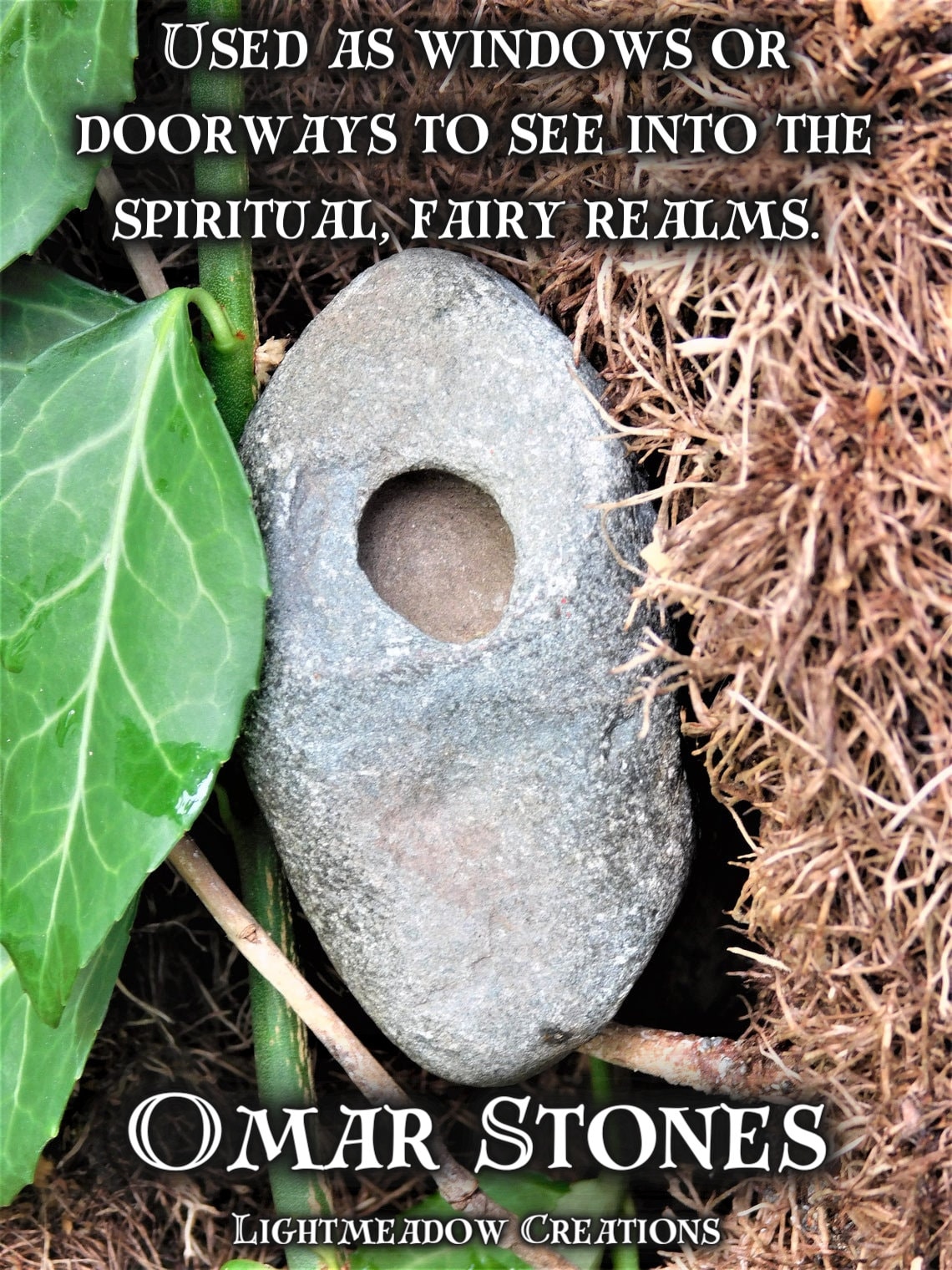 Three Natural Beautiful Large- XXLarge Raw Omar- Omarolluk Fairy Holey ...